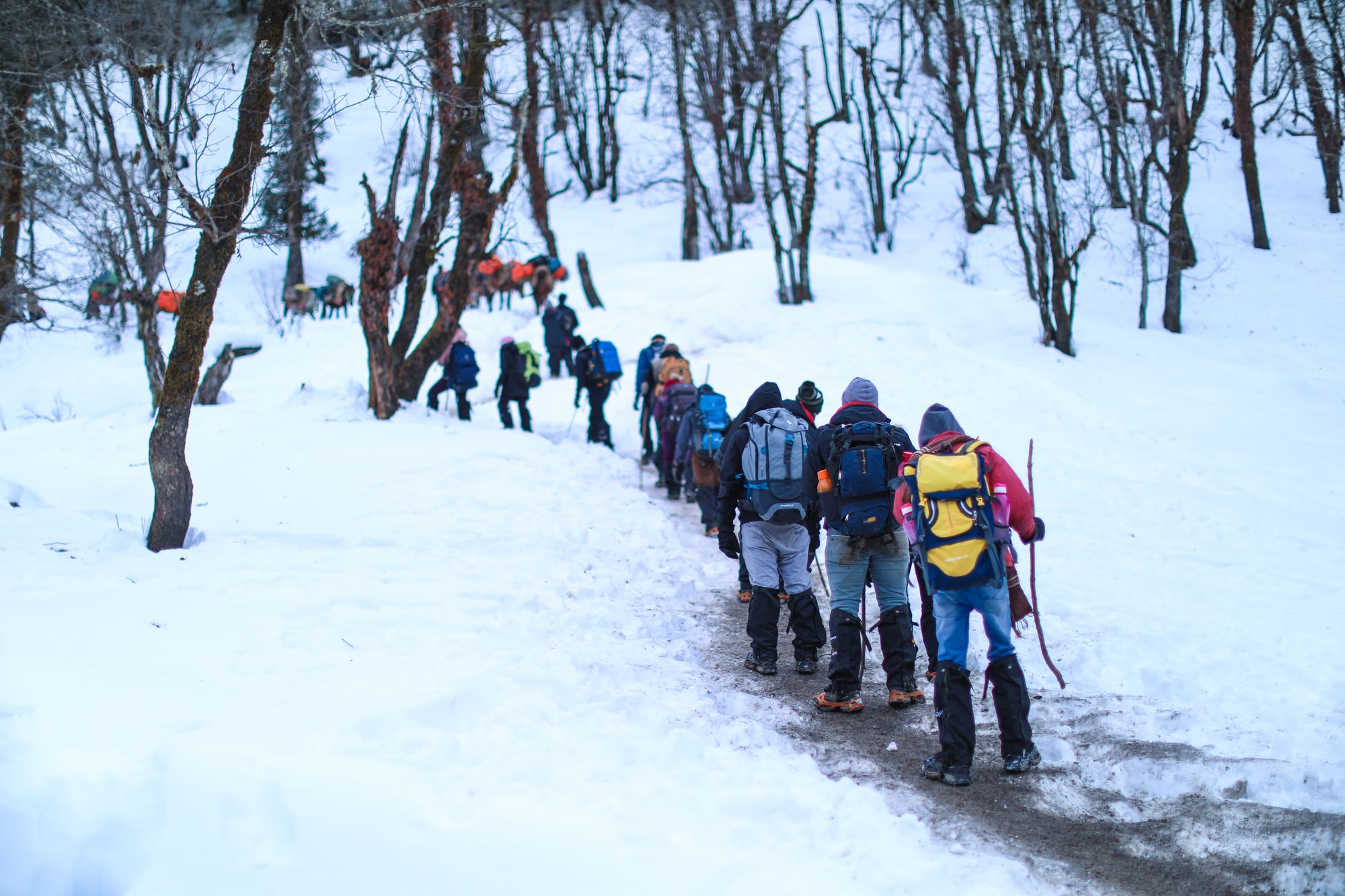 Invincible - The Largest Trekking Organization in India