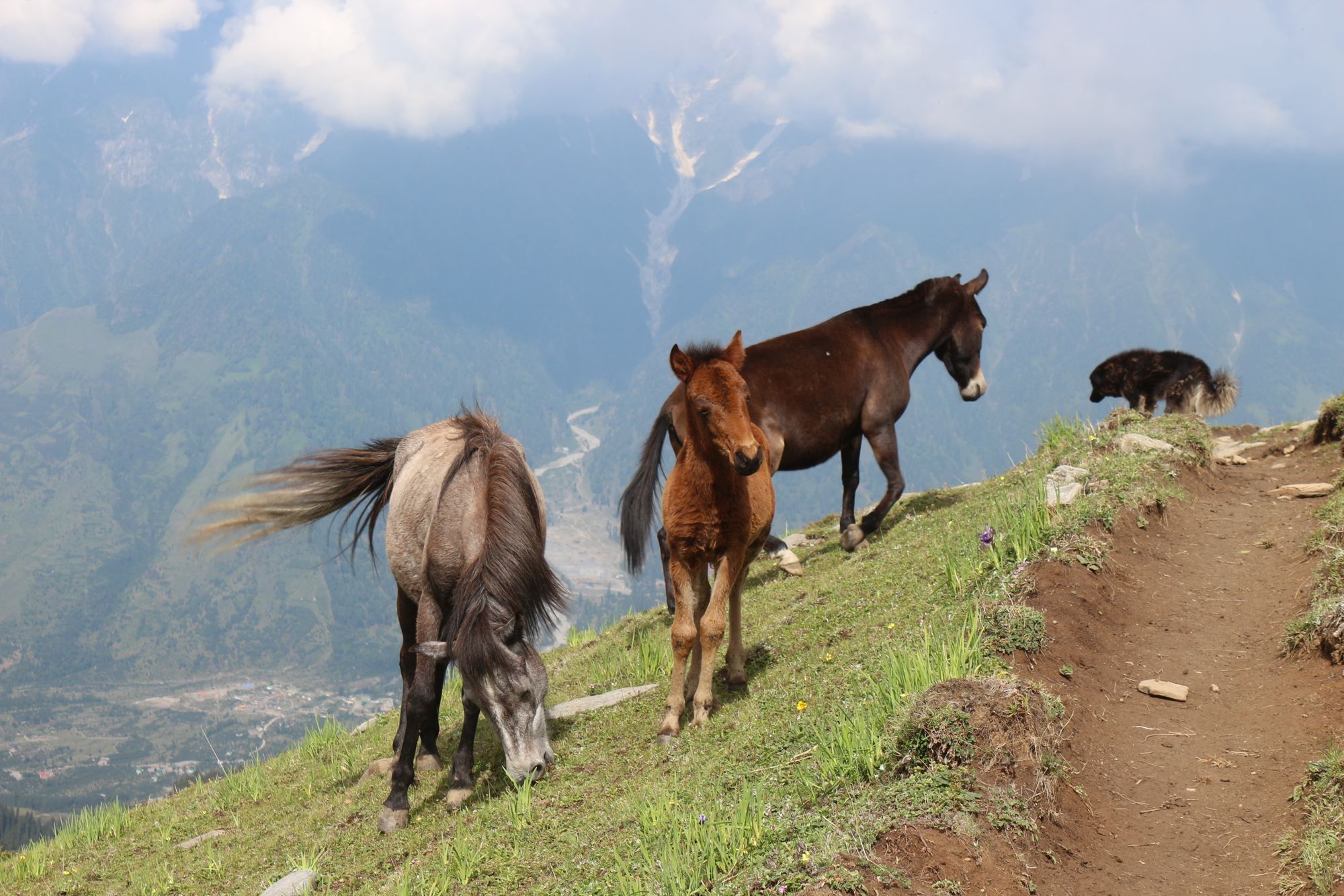 Invincible - The Largest Trekking Organization in India