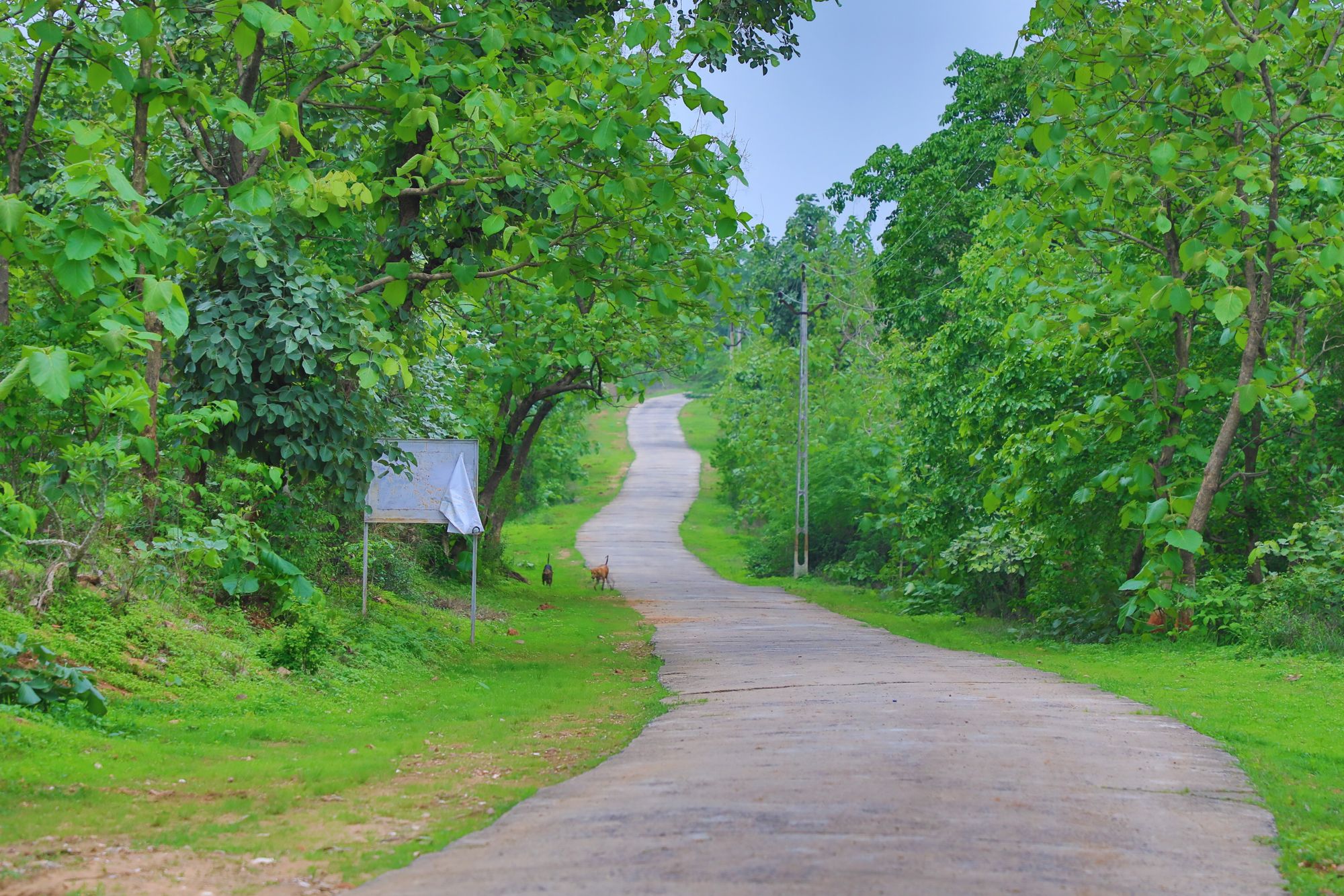 Invincible - The Largest Trekking Organization in India