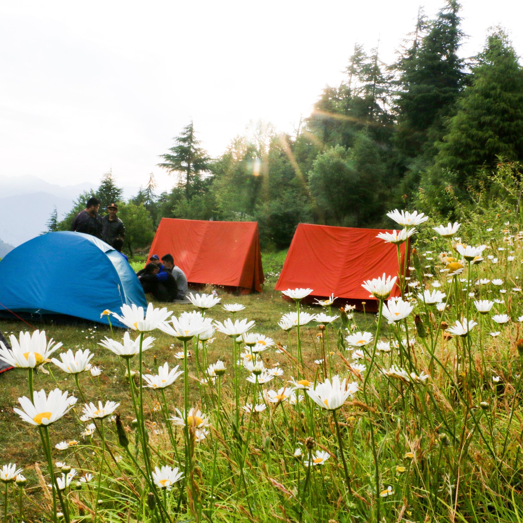 Invincible - The Largest Trekking Organization in India