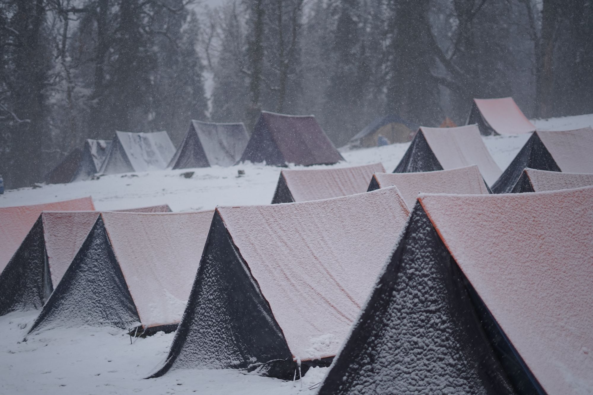 Invincible - The Largest Trekking Organization in India