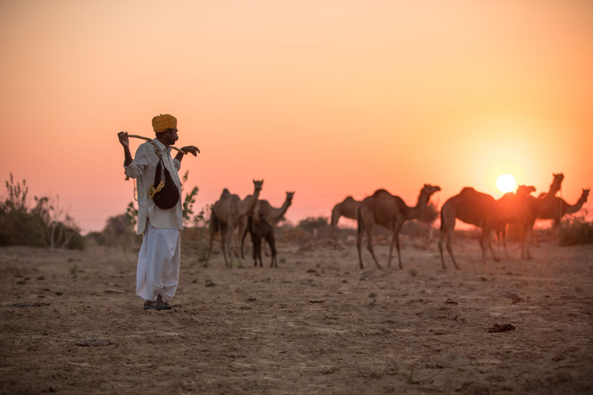 Invincible - The Largest Trekking Organization in India